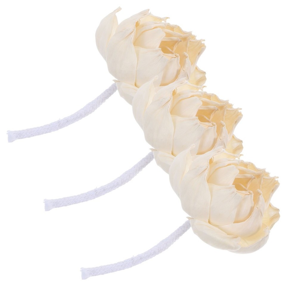 3 Pcs Essential Oil Flower Heads Artificial Flowers Indoor Peony | eBay ...