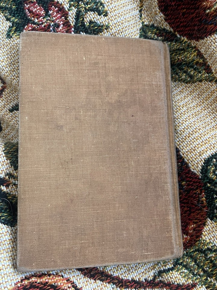 1902 Antique German Book Immensee by Theodor Storm | eBay