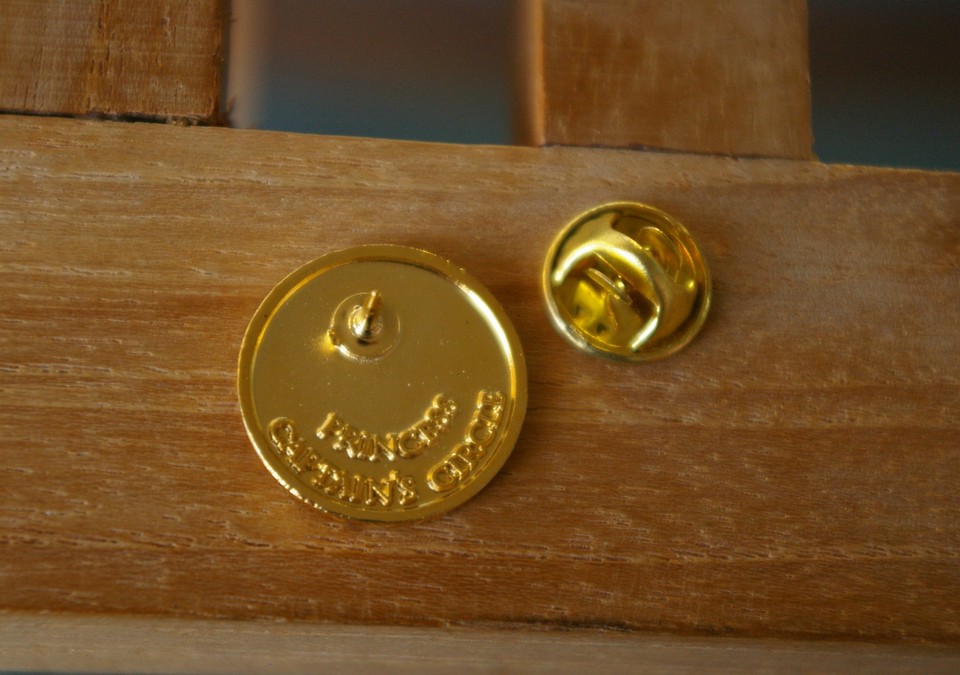 Princess Cruises Cruise Ship Captain's Circle Gold Tone Metal Lapel Pin ...