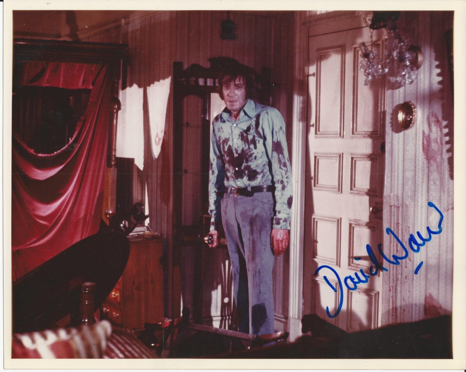 David Warner Autographed 8 X 10 Color Photo | eBay UK