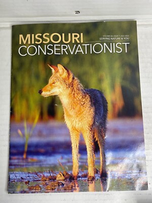 Missouri Conservationist Magazine Volume 84 Issue 7 July 2023 Night ...