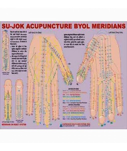Sujok acupuncture byol meridian chart - verkeersschoolvandam.nl