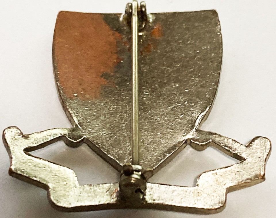 US Army Crest DI/DUI Pin: 33rd Infantry Regiment Pin Back | eBay