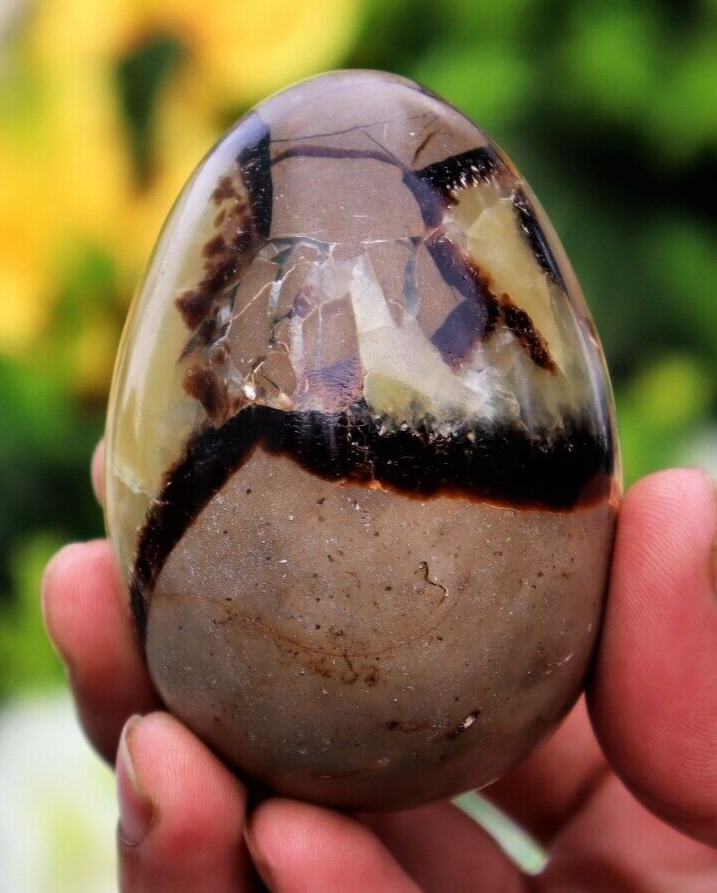 70MM Yellow Septarian Egg Septaria Septeyre Chakra Crystal Healing ...