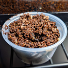 Springtails Culture Tropical Temperate | Bioactive Terrarium Live Clean ...