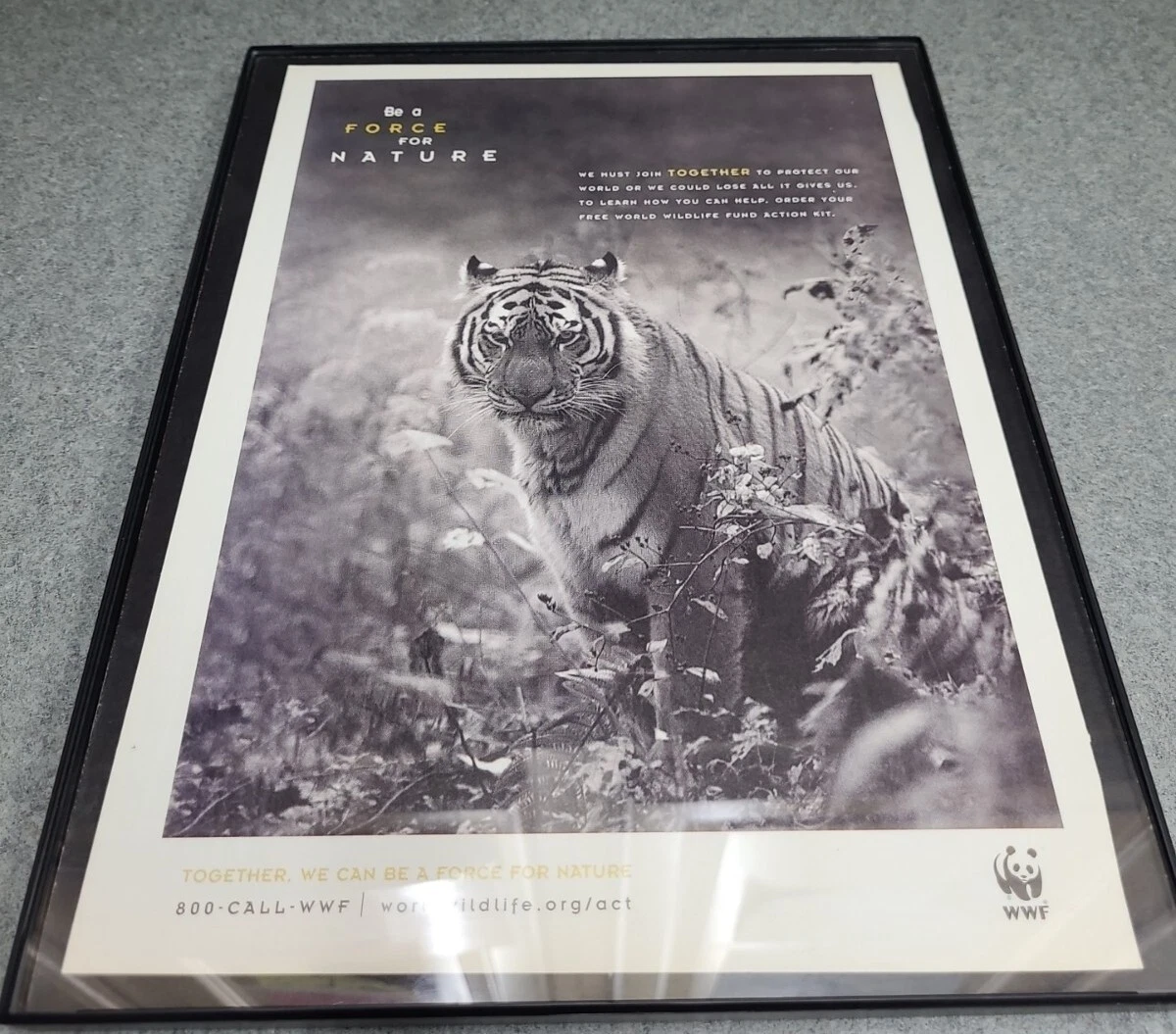 World Wildlife Fund Ads