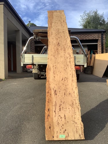 Birdseye Messmate Slab, craft resin epoxy art, Timber #1 | eBay