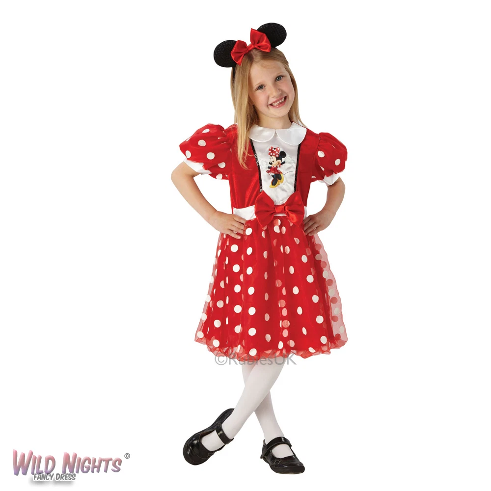 Minnie Mouse Costume For Teenagers
