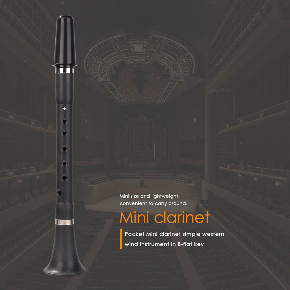 Clarinet B Flat Professional Performance Beginner Woodwind Musical ...