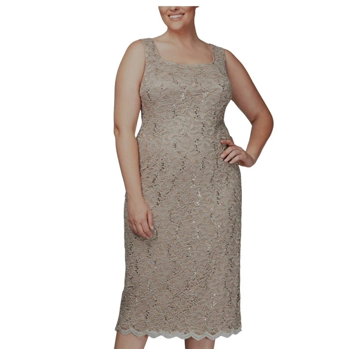 Beige Lace Dress Plus Size