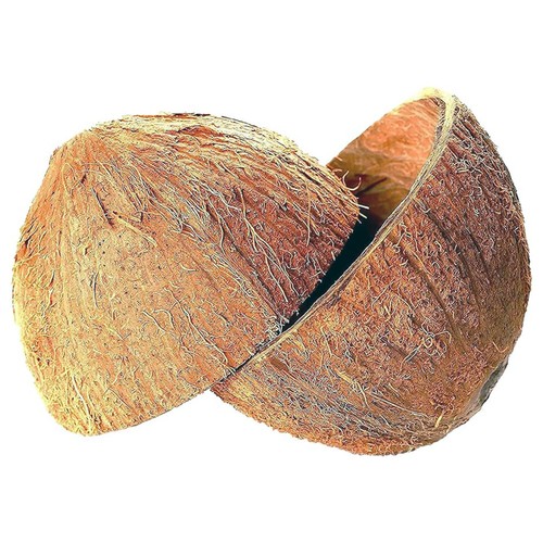 100% Pure Organic Natural Eco Friendly Ceylon Coconut Shell Halves Half ...