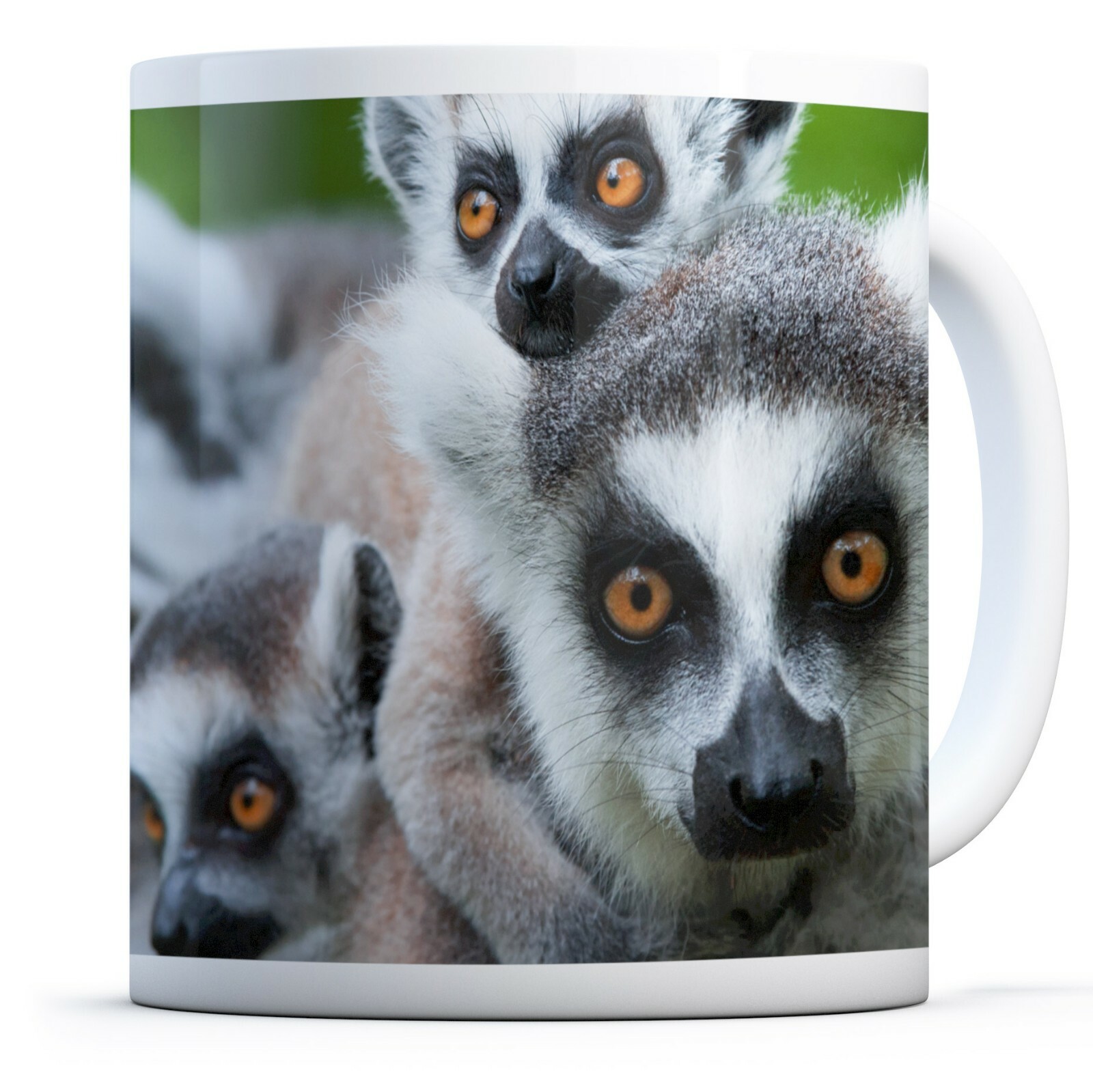 Ring Tailed Lemur - Drinks Mug Cup Kitchen Birthday Office Fun Gift ...