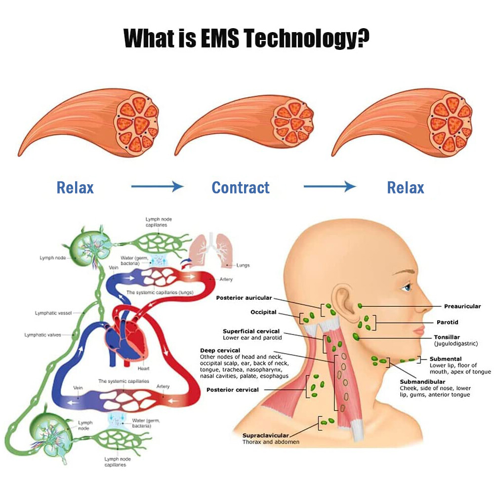 Electric Neck Acupoints Massager EMS Pulse 4 Modes Heating Pain Relief ...