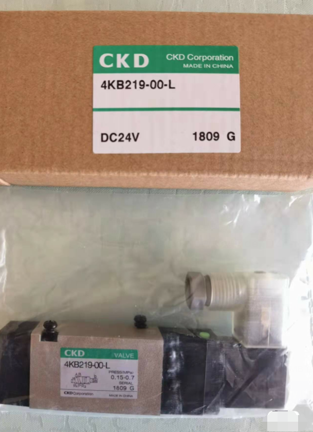 1 PC NEW Solenoid Valve 4KB219-00-L DC24V#B3102 CL | eBay