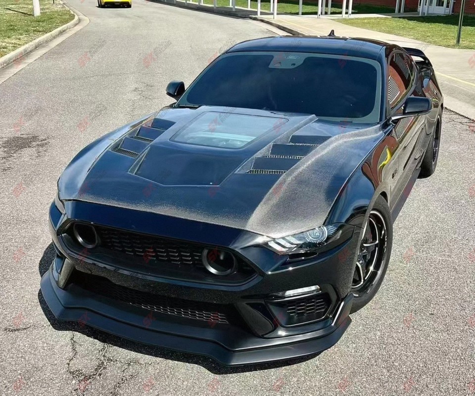 Fits 15-17 18-23 Ford Mustang A/B/C/D/E/F/G/H/I Style Front Hood Panels ...