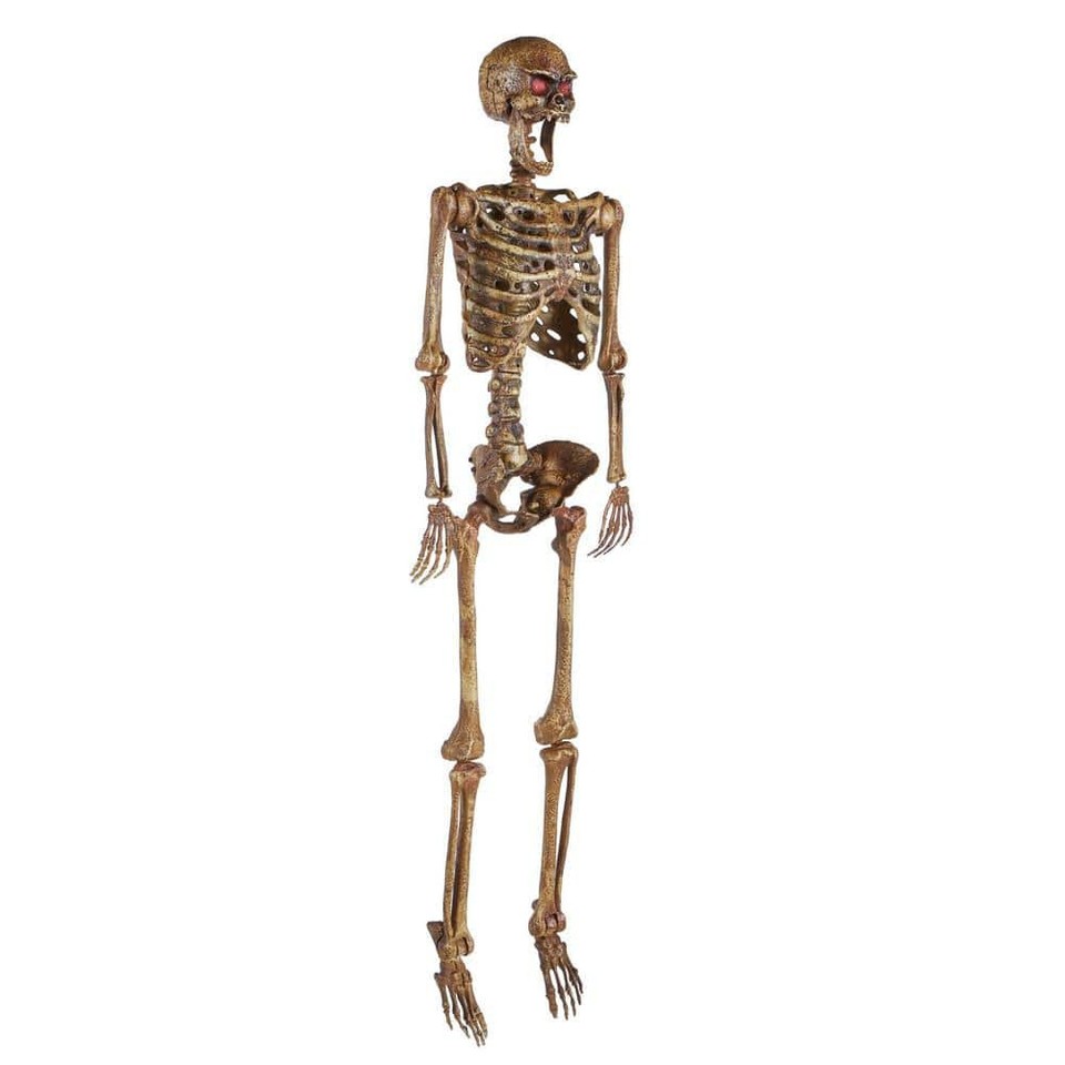 5 ft Poseable Human Size Decayed Skeleton Skull w/LED Eyes Halloween ...