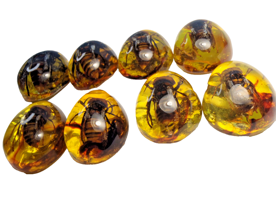 Beautiful Large Artificial Amber With Real Hornet Fossil Insects | eBay