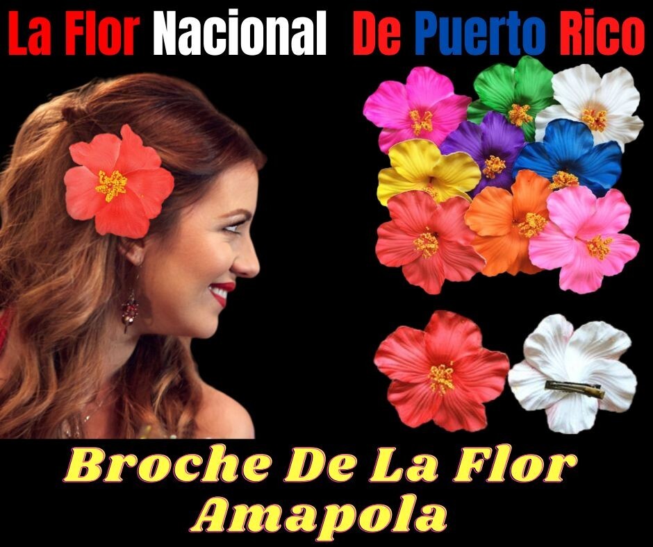 Puerto Rican Flag Skirt Set & Star Belt 3PC Traje Típico Jíbara Boricua ...