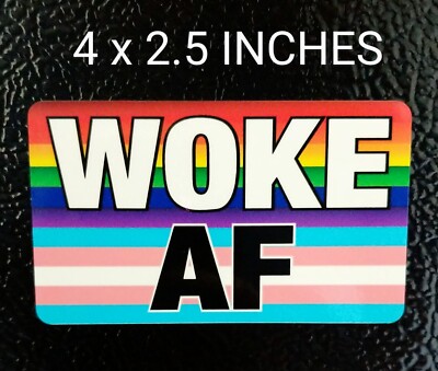 4" Woke AF Decal Vinyl Sticker LGBTQ Support Pride Trans Rights Love ...