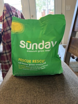 Sunday Premium Grass Seed Fescue Rescue 5lb Bag - New | eBay