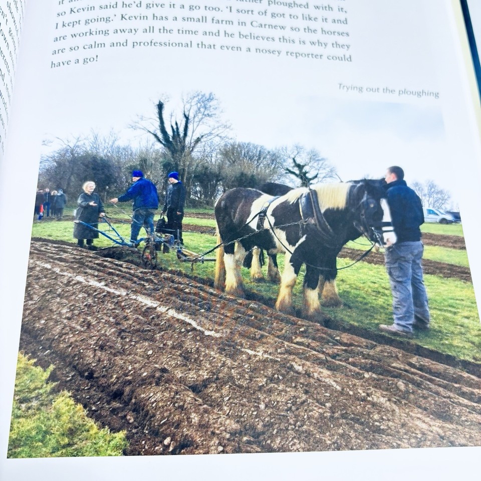 A Ploughing People Farming Life Celebrated Ireland V. Cox Hardcover ...