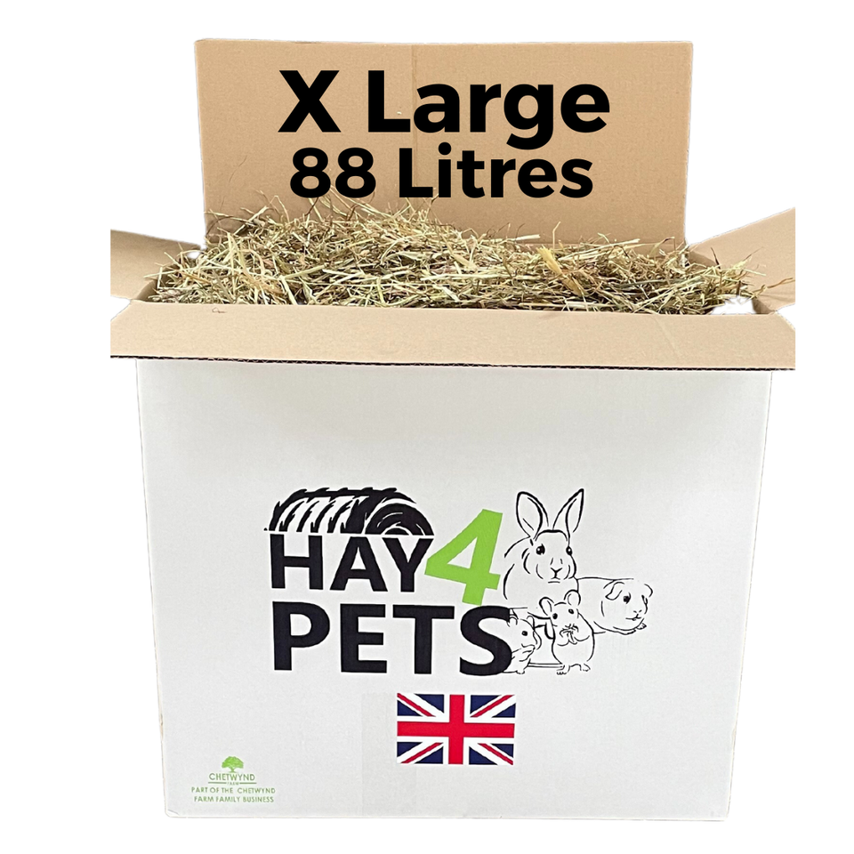 Hay4Pets Timothy Hay Quality Dried Grass Small Animal Pet Natural ...