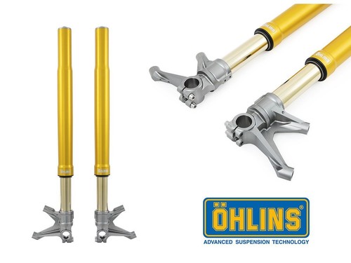 OHLINS UNIVERSAL GOLD RACING FRONT FORK FGR253 790MM BAGGER / HOOLIGAN ...
