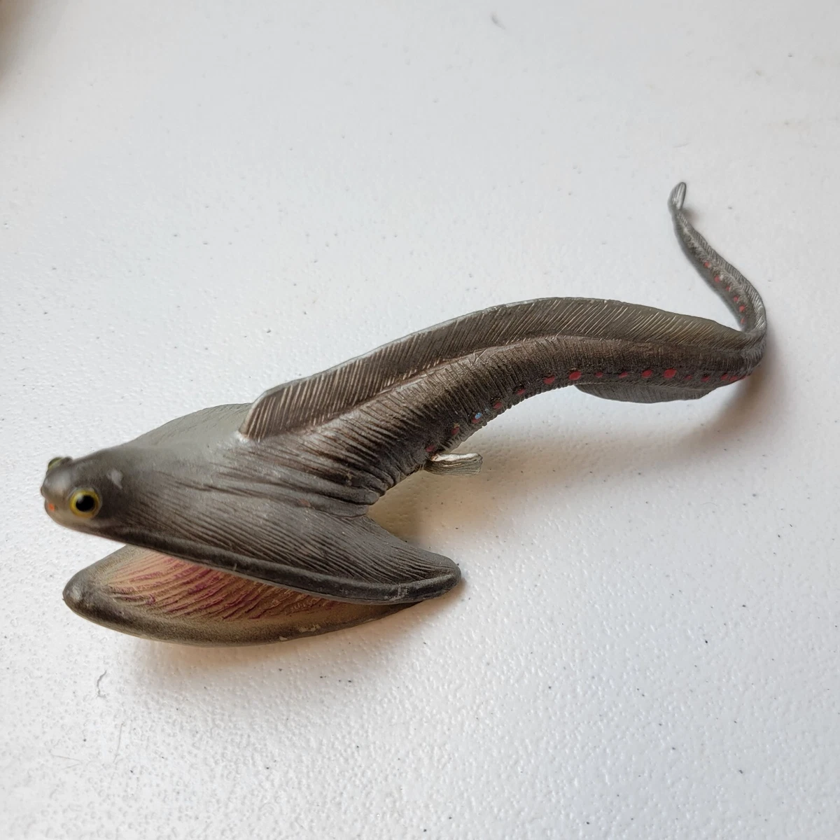 Gulper Eel