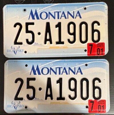 Montana 2001 MADISON COUNTY License Plate PAIR # 25-A1906 | eBay