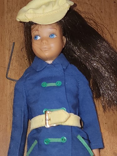 Barbie TNT Skipper Titian With Carry Case 4 Other Skippers Fun Time ...