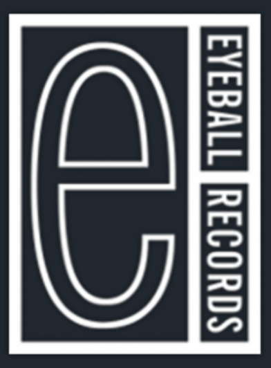 Vintage My Chemical Romance Bullets Poster from 2002 Promotional Poster ...