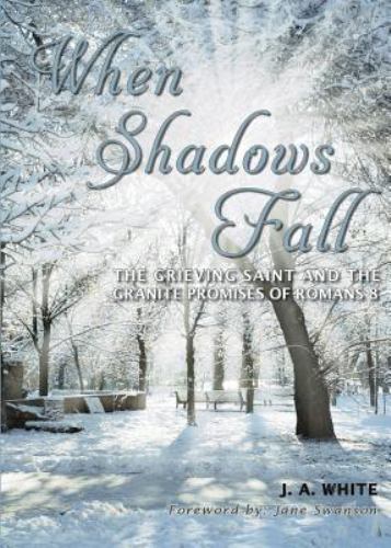 When Shadows Fall : The Grieving Saint and the Granite Promises of ...
