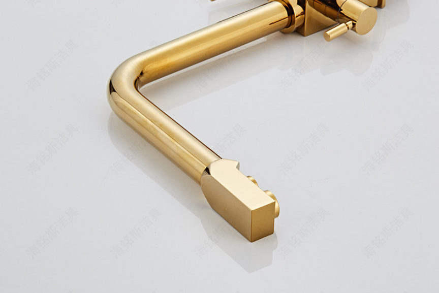 2 Way Spout Golden Drinking Water Purifier Faucet Swivel Kitchen Sink ...