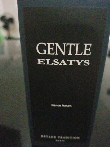 Reyane Tradition Gentle Elsatys 100 ml Men's Eau de Parfum Spray for ...