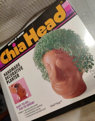 Chia Head Guy Decorative Planter Vintage Includes Chia Seeds Terra ...