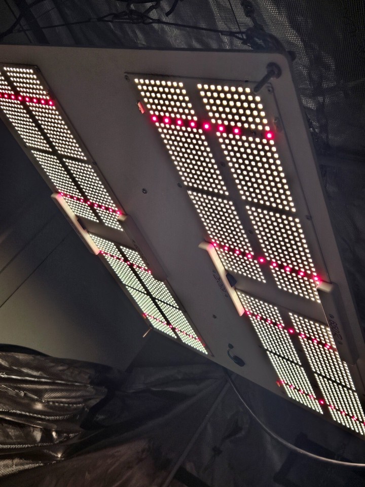 Horticulture Lighting HLG650-R-FBA Quantum Board LED Grow Light ...