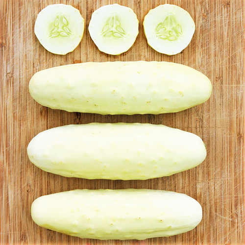 White Wonder Cucumber Seeds | Albino Ivory King Cucumbers Pickle Seed ...