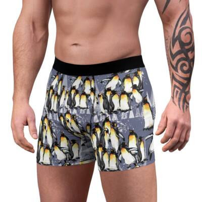 Men's Boxer Briefs, XS-5XL Penguins Birds Boxers, Boxer Brief Underwear ...