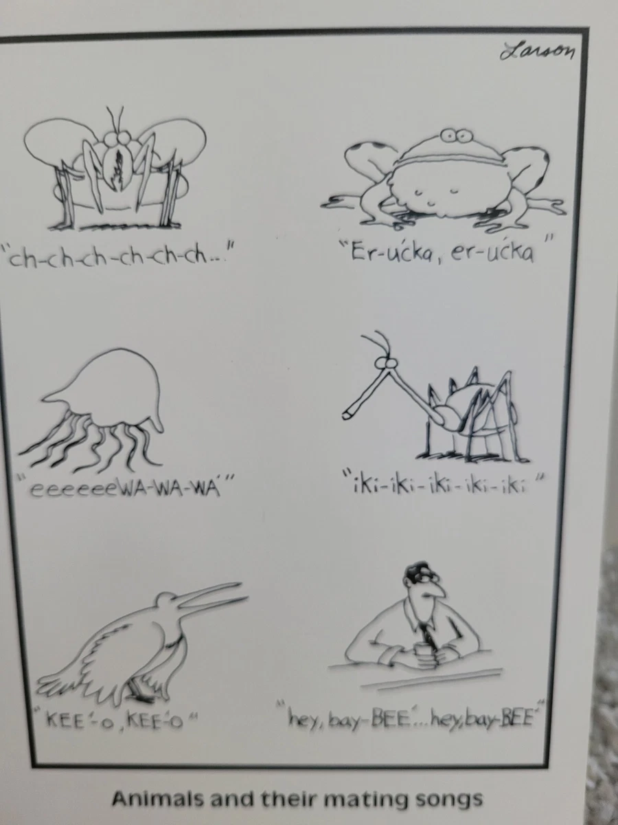 Animals Mating Drawing