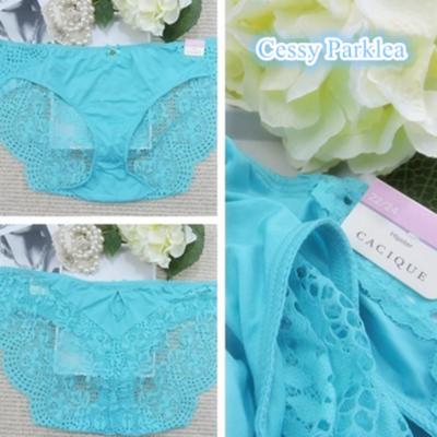 US"CACIQUE" Blue Plus Size No-Show Microfiber Hipster Full Brief w ...