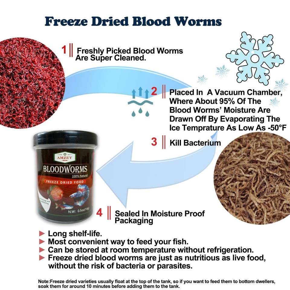 Amzey Blood Worms 0.5 oz -100% Natural Freeze Dried Blood Worms ...