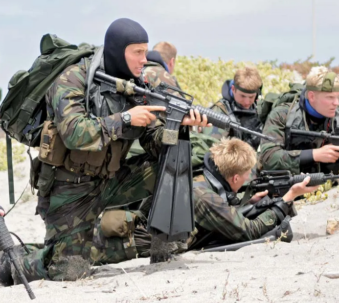 VTG US NAVY SEAL Military VOIT UDT Duck Fins/Flippers, Black/Green ...