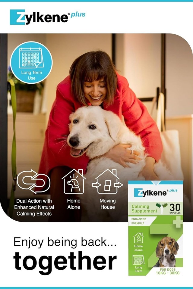 Zylkene Plus Calming Supplement For Cats and Dogs Anxiety Stress Relief ...