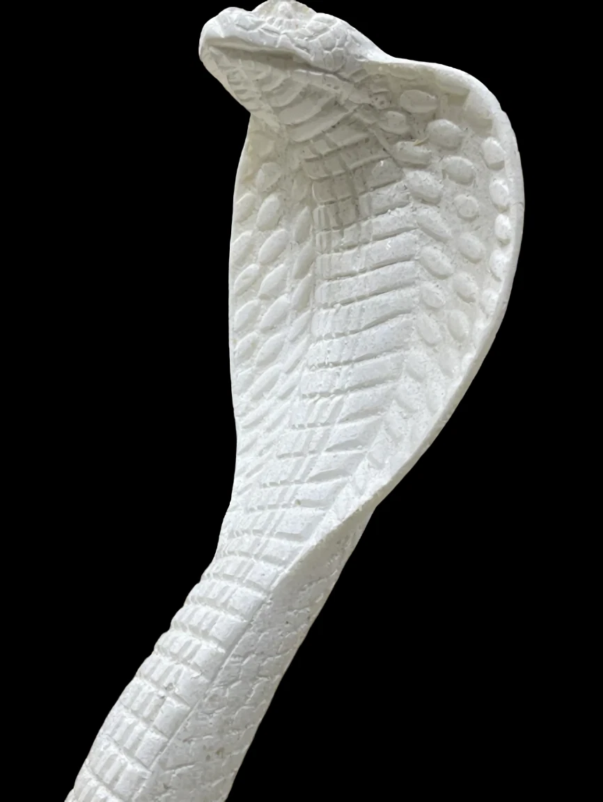 White Cobra Snake
