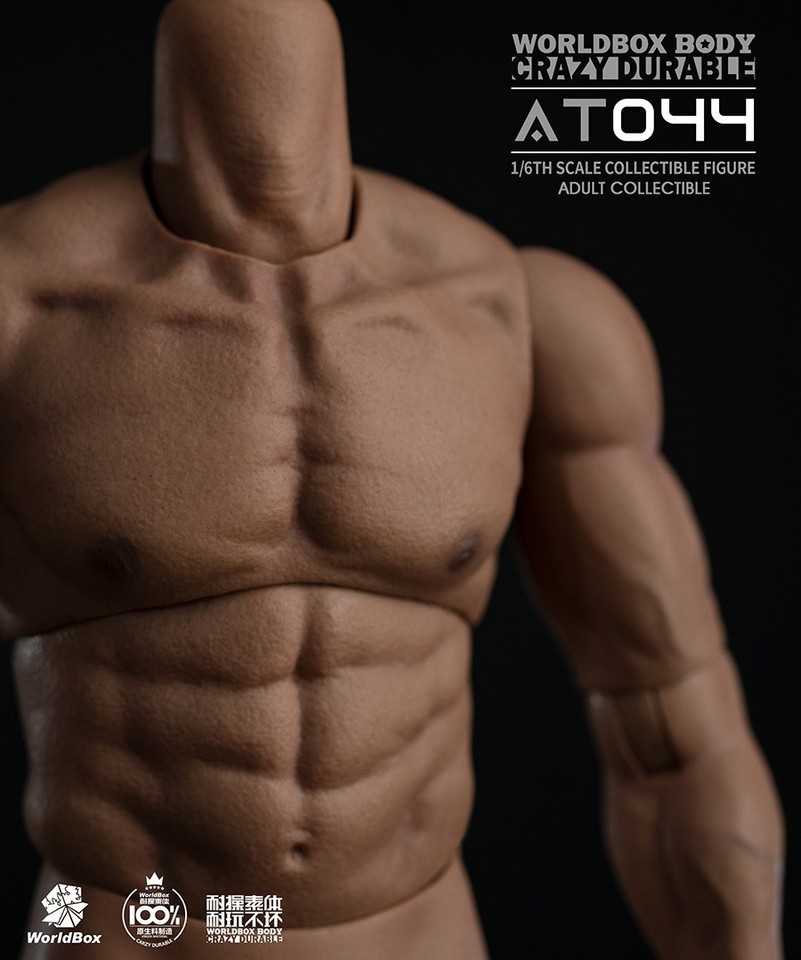 WORLDBOX AT044 1/6 Muscular Male Figure Body Strong Durable Removable ...