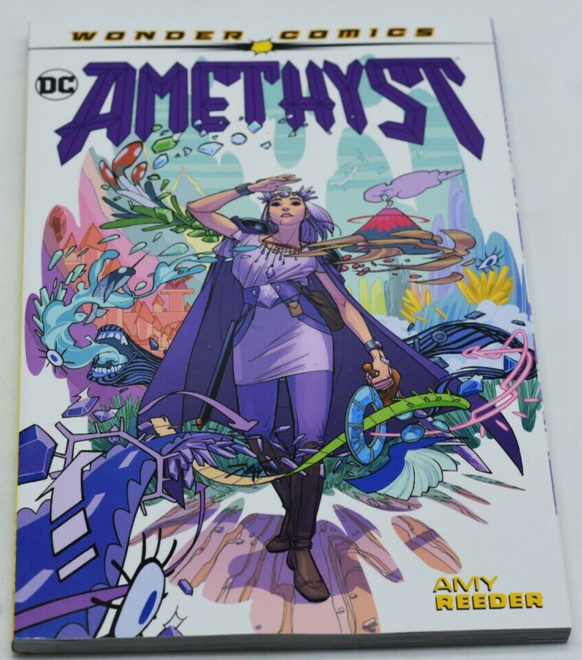 Amethyst - Paperback By Reeder, Amy FAST SECURE SHIP 9781779507471 | eBay