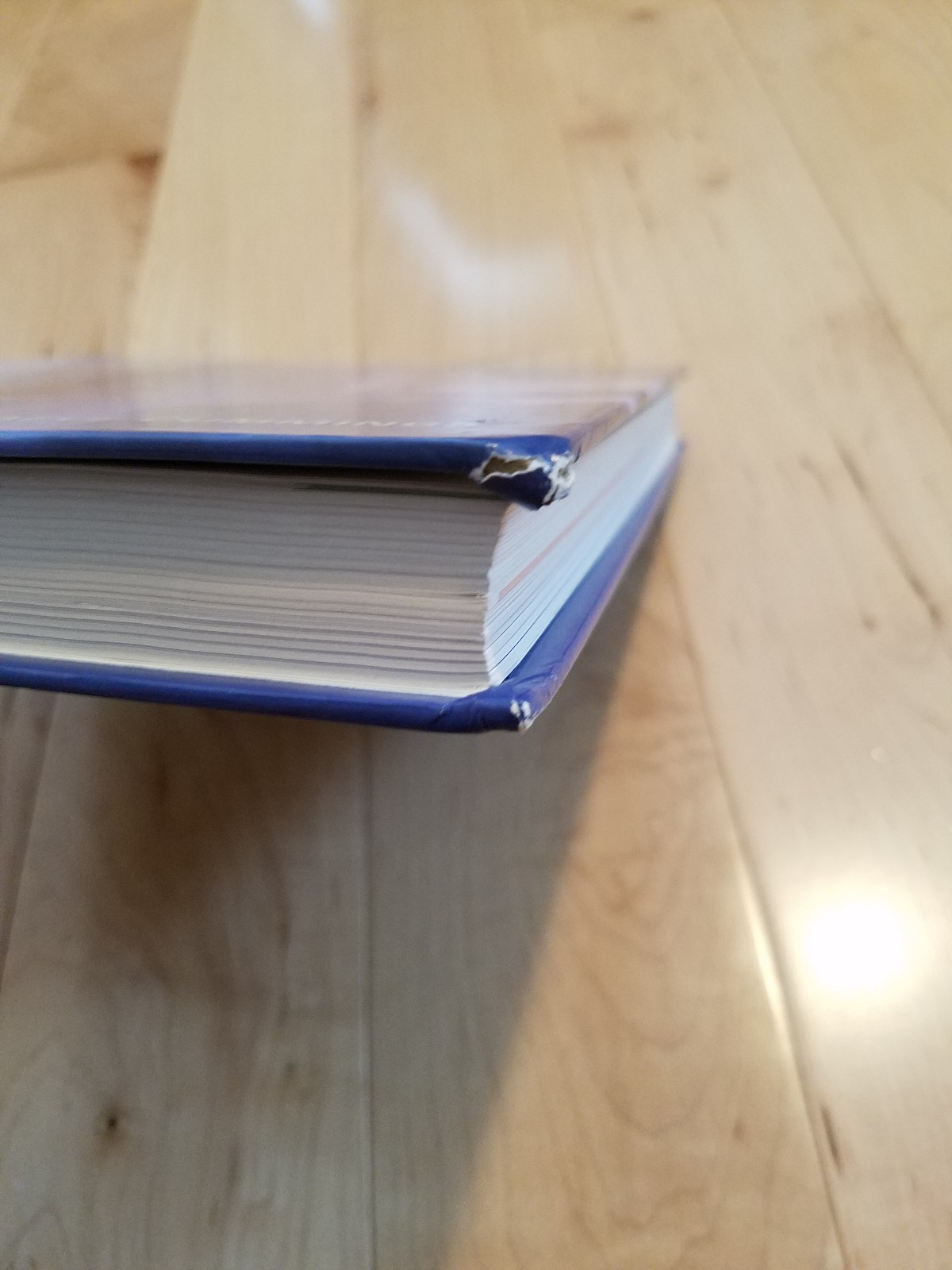 Management Information Systems for the Information Age by Stephen Haag ...