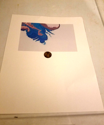 WM4 art print Palocsay Lester Leland-LLP 718 BIRD FACE OPEN | eBay