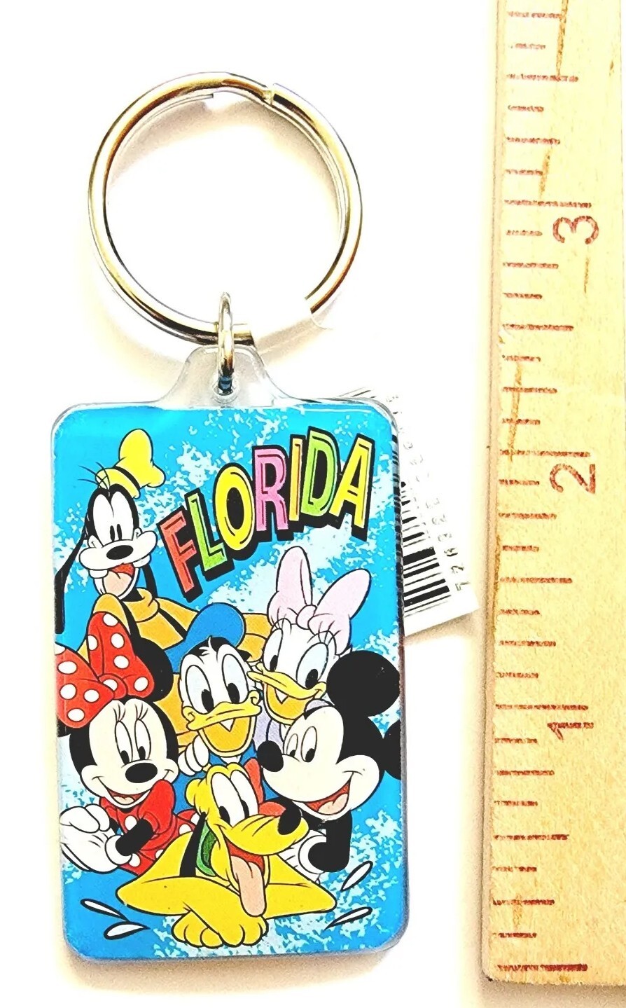 Disney Florida Keychain Mickey Mouse and Friends Souvenir Keyring New w ...
