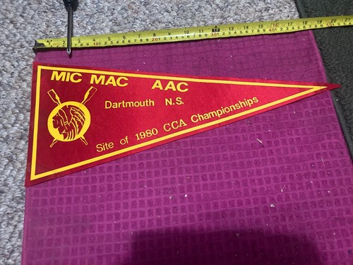 VINTAGE Dartmouth NS CANADA PENNANT MIC MAC AAC Site of 1980 CCA ...
